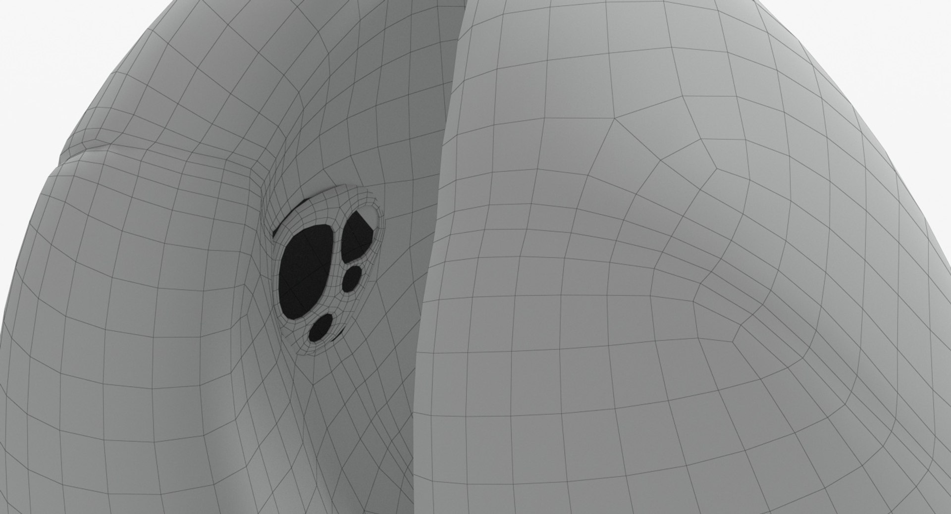 Lungs Anatomical Segments 3D Model - TurboSquid 1384492