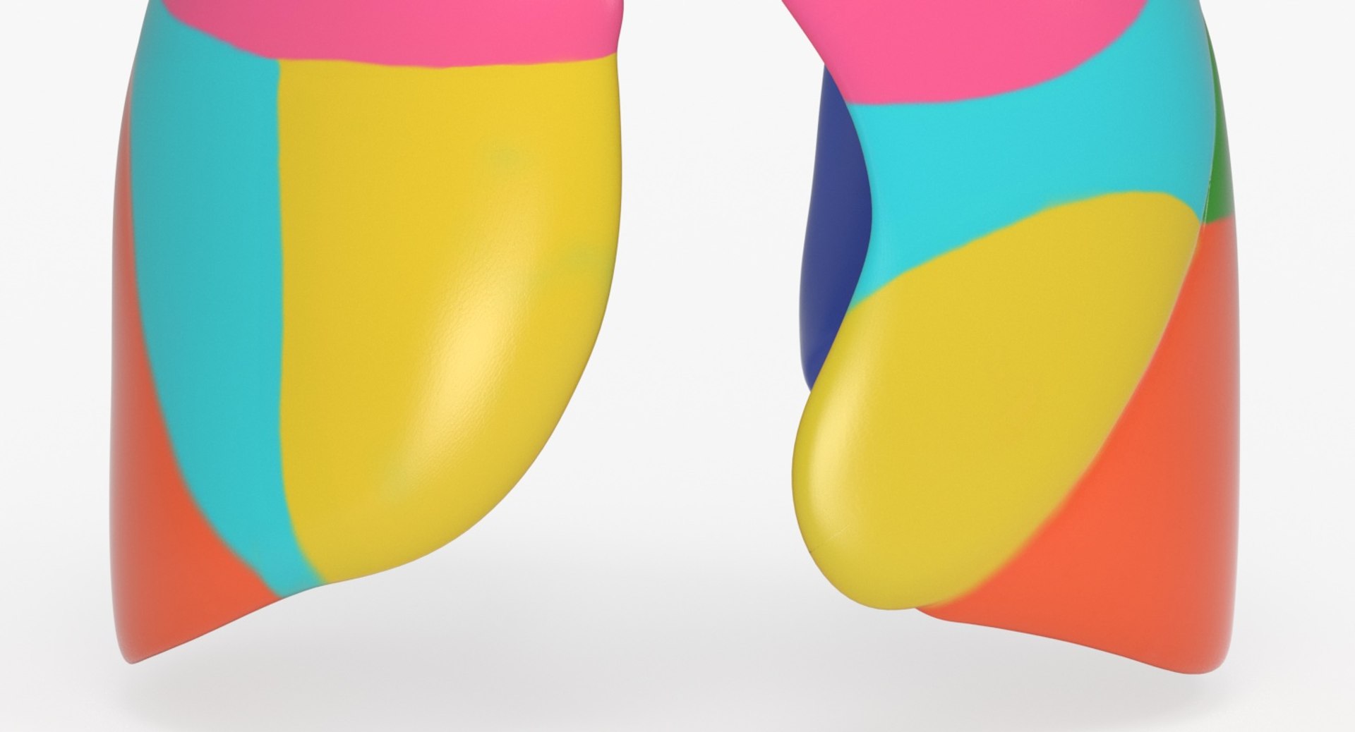 Lungs Anatomical Segments 3D Model - TurboSquid 1384492