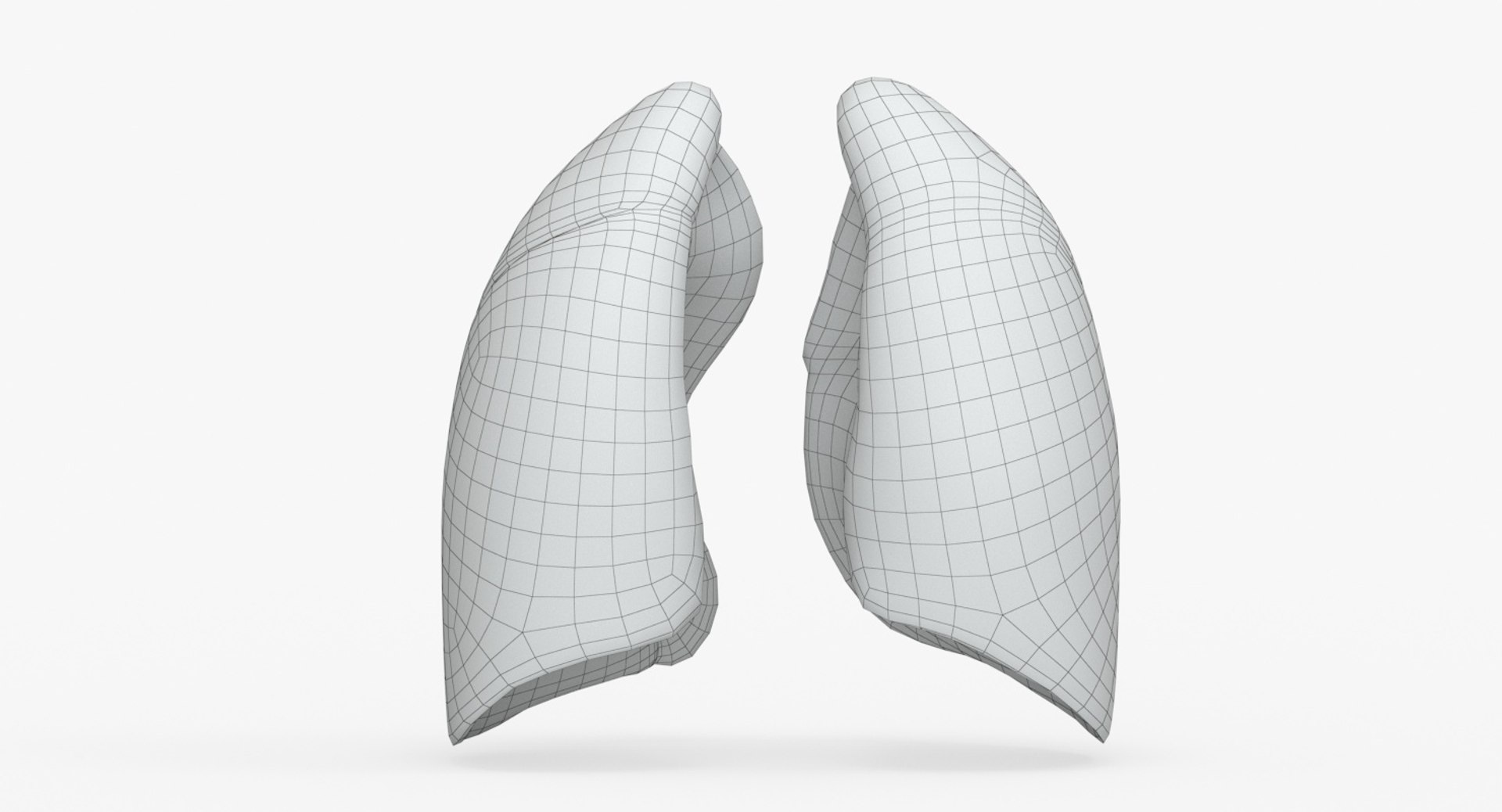 Lungs Anatomical Segments 3D Model - TurboSquid 1384492