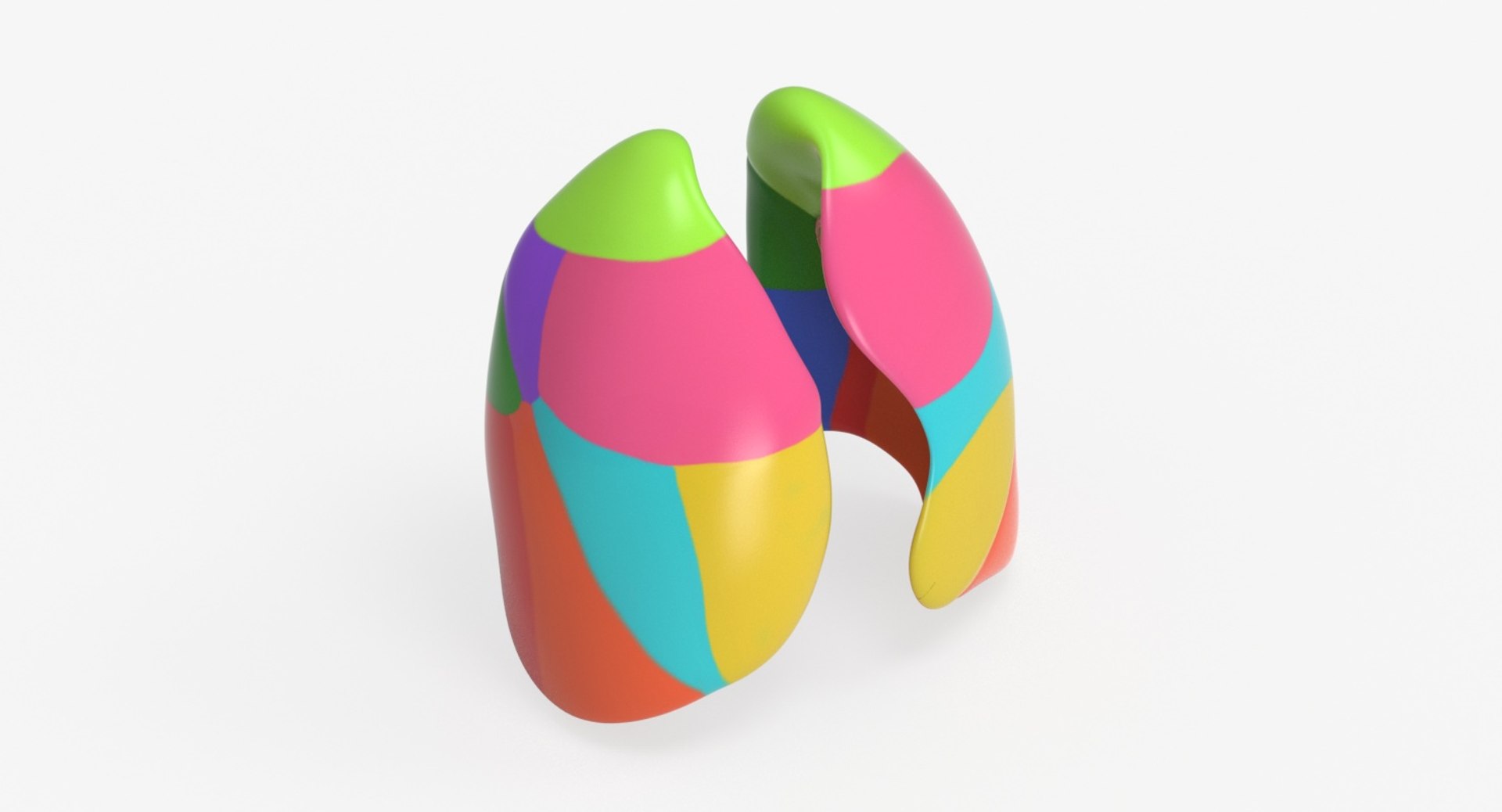 Lungs Anatomical Segments 3D Model - TurboSquid 1384492