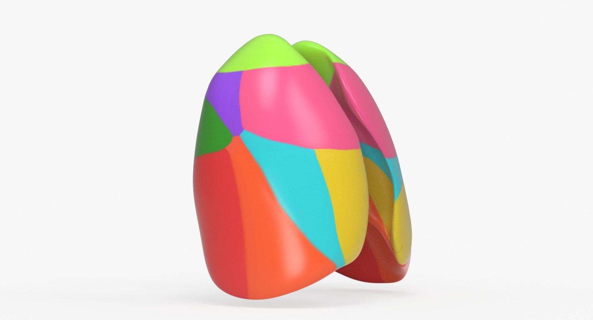 Lungs Anatomical Segments 3D Model - TurboSquid 1384492