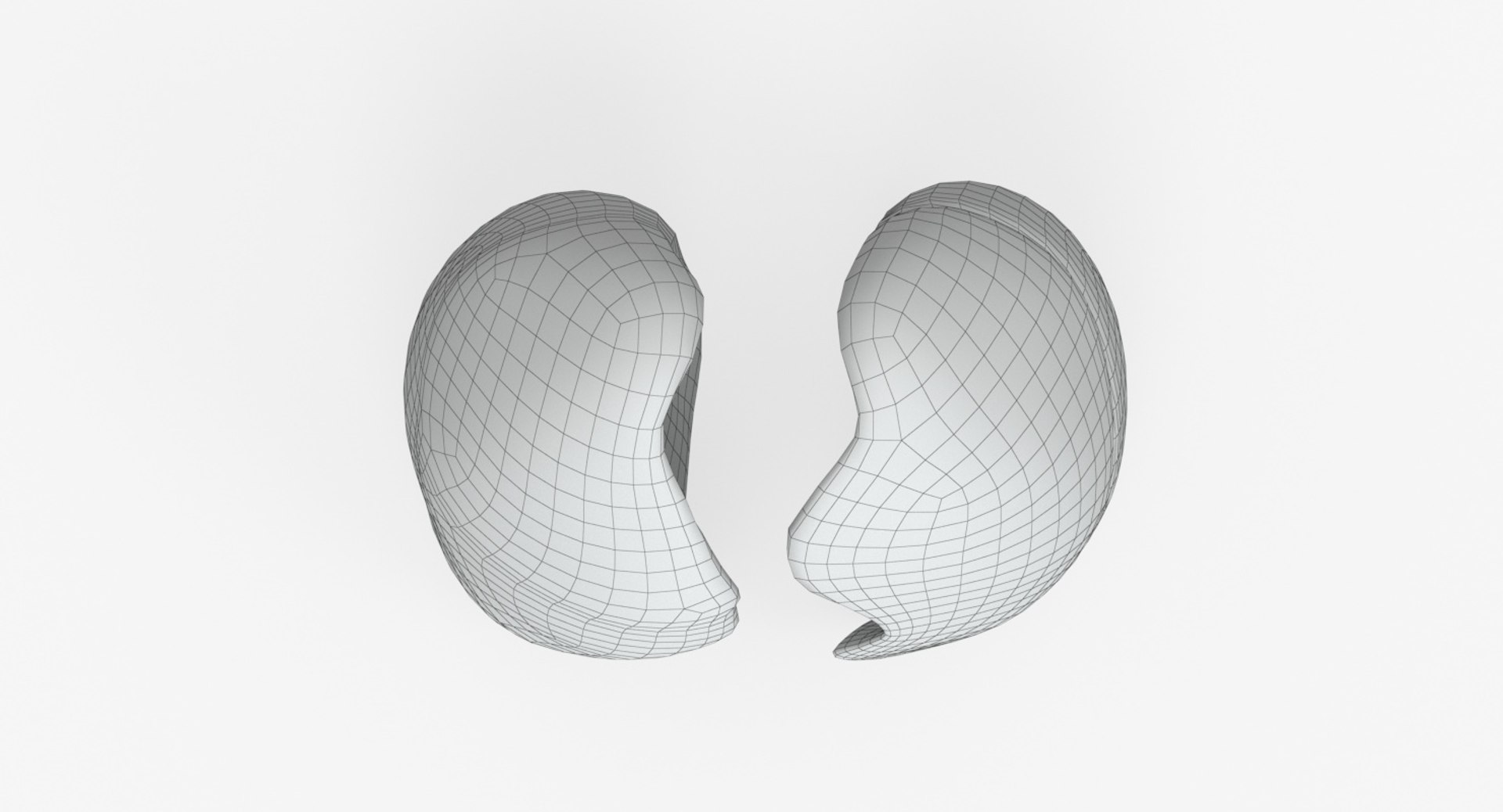 Lungs Anatomical Segments 3D Model - TurboSquid 1384492
