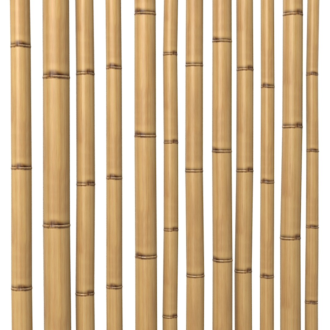 single bamboo texture