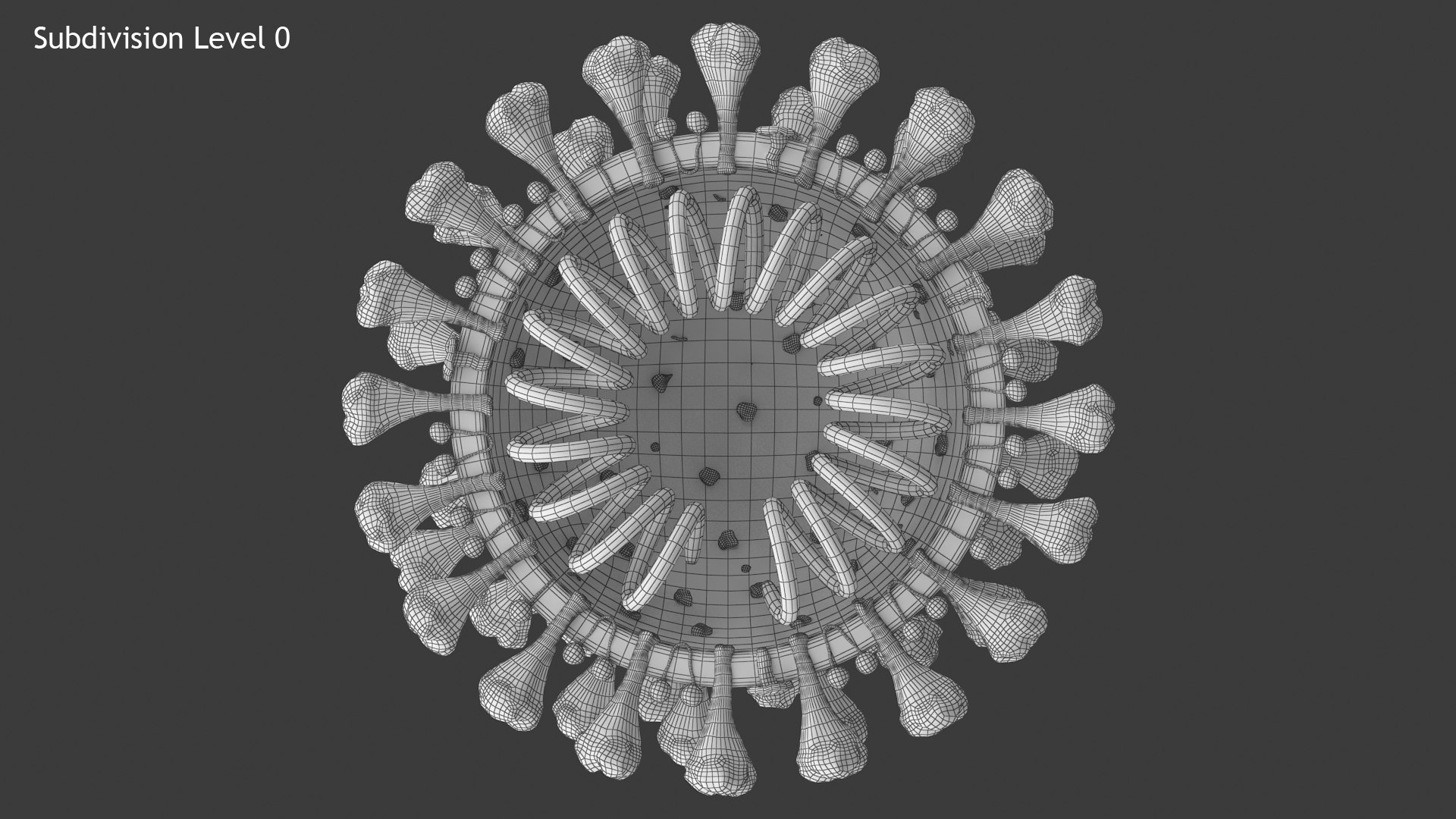 3D Model Coronavirus V2 Cross Section - TurboSquid 1529014