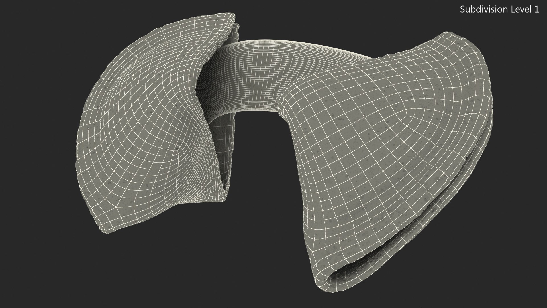 Open fortune cookie message 3D model - TurboSquid 1528503