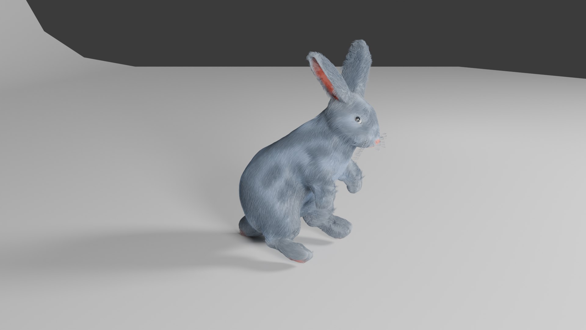 3D Rabbit 3d Model - TurboSquid 2420816
