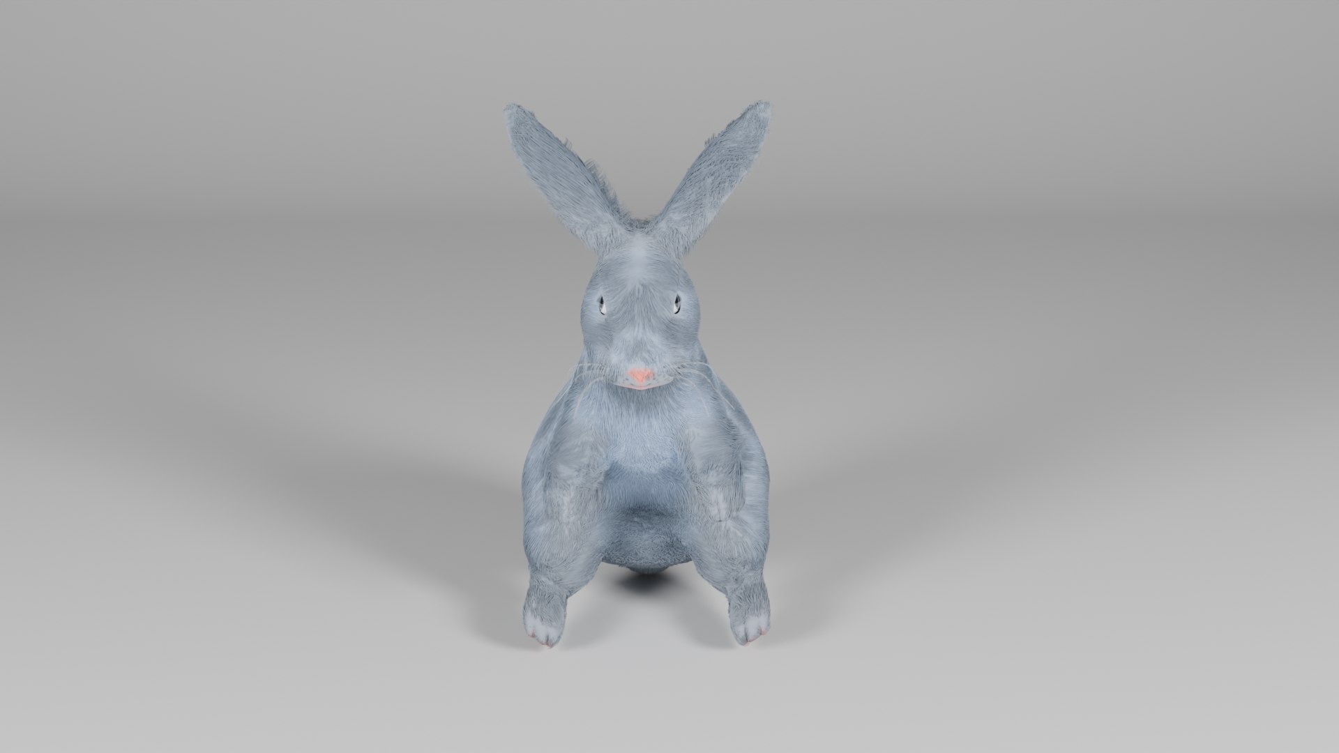 3D Rabbit 3d Model - TurboSquid 2420816