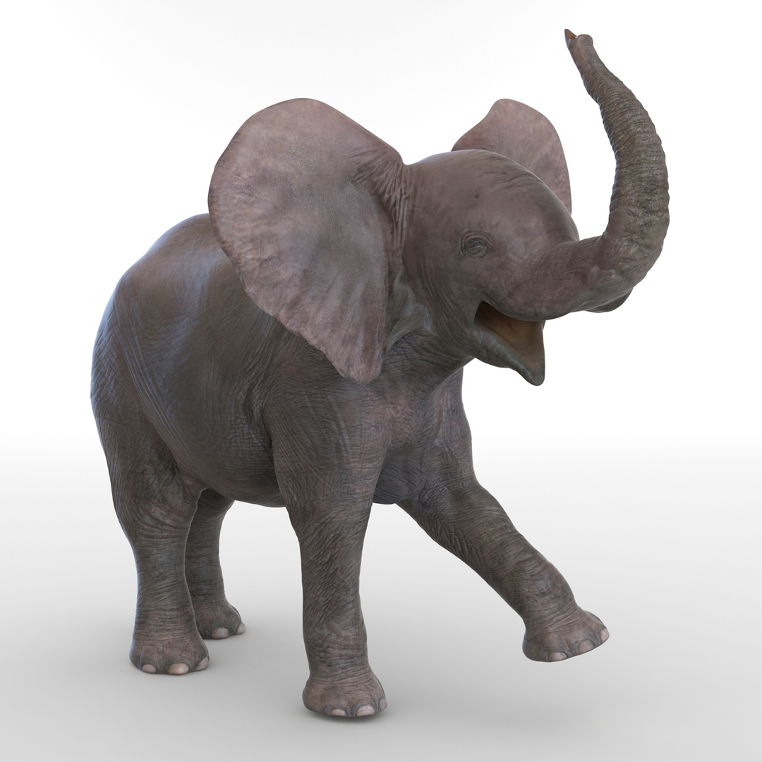 baby elephant rigged 3d model