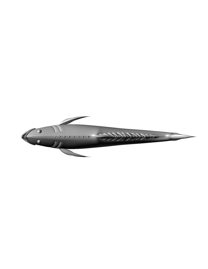 3dm cobia fish