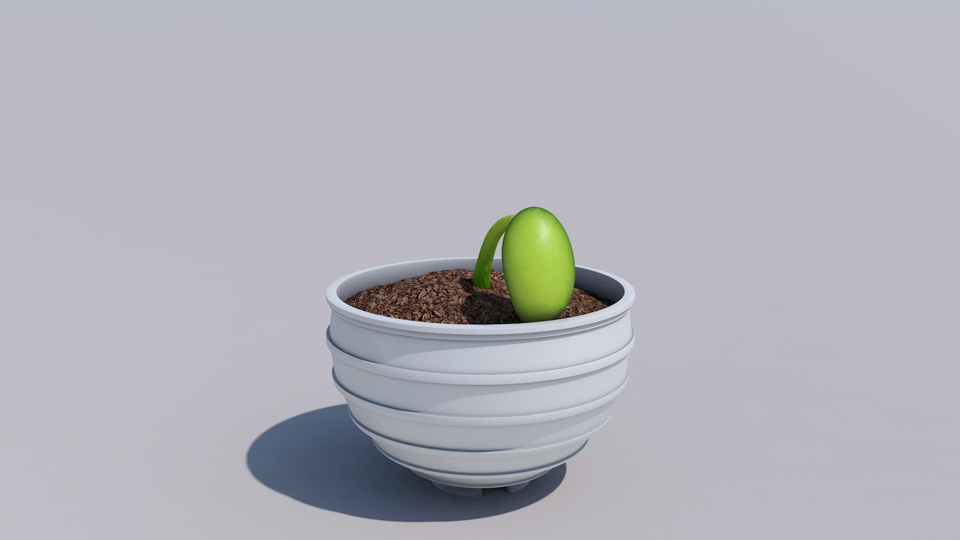 Animation Sprout 3d Model