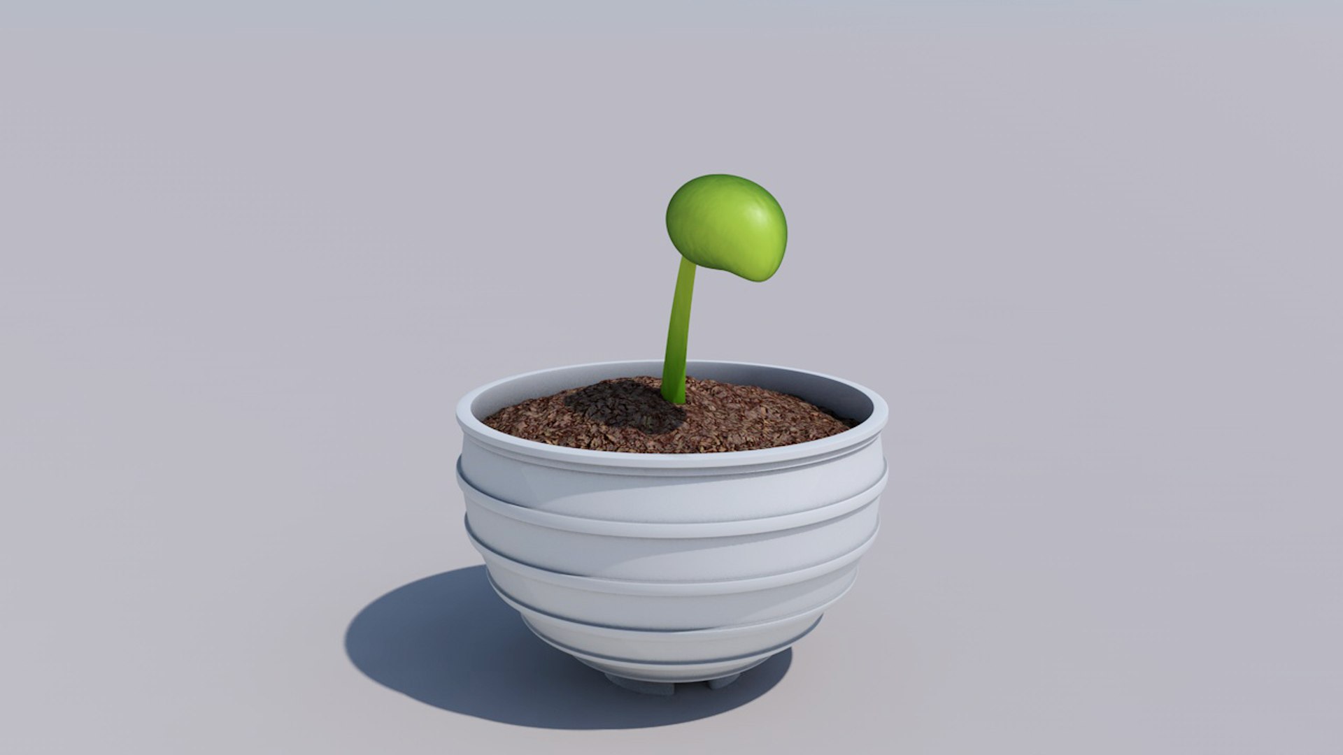 Animation Sprout 3d Model