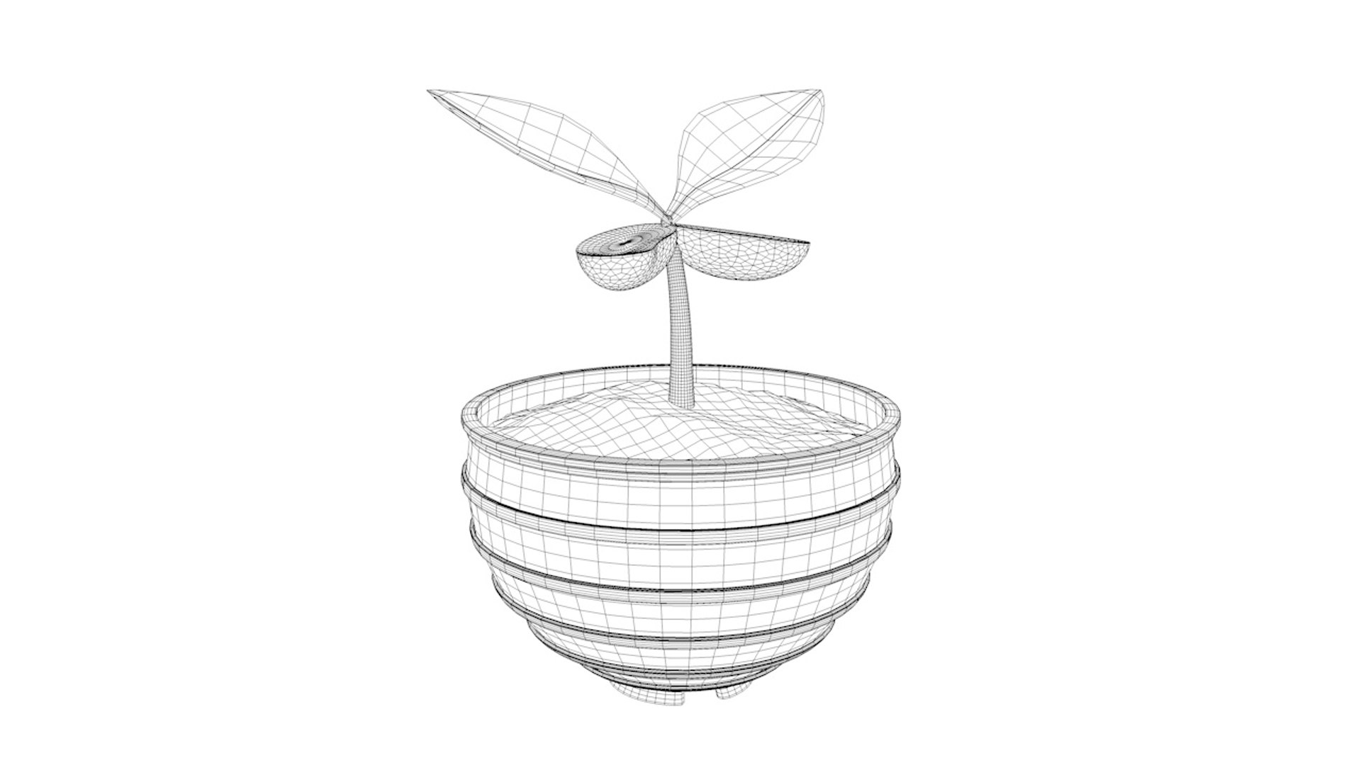 Animation Sprout 3d Model