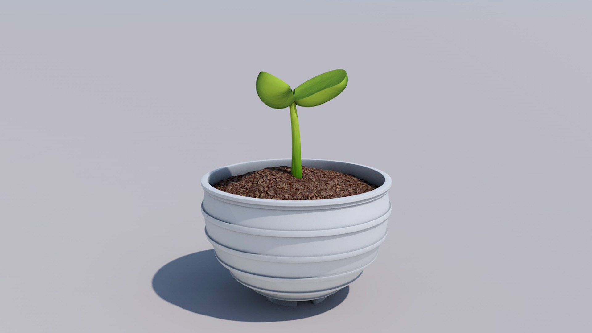Animation Sprout 3d Model