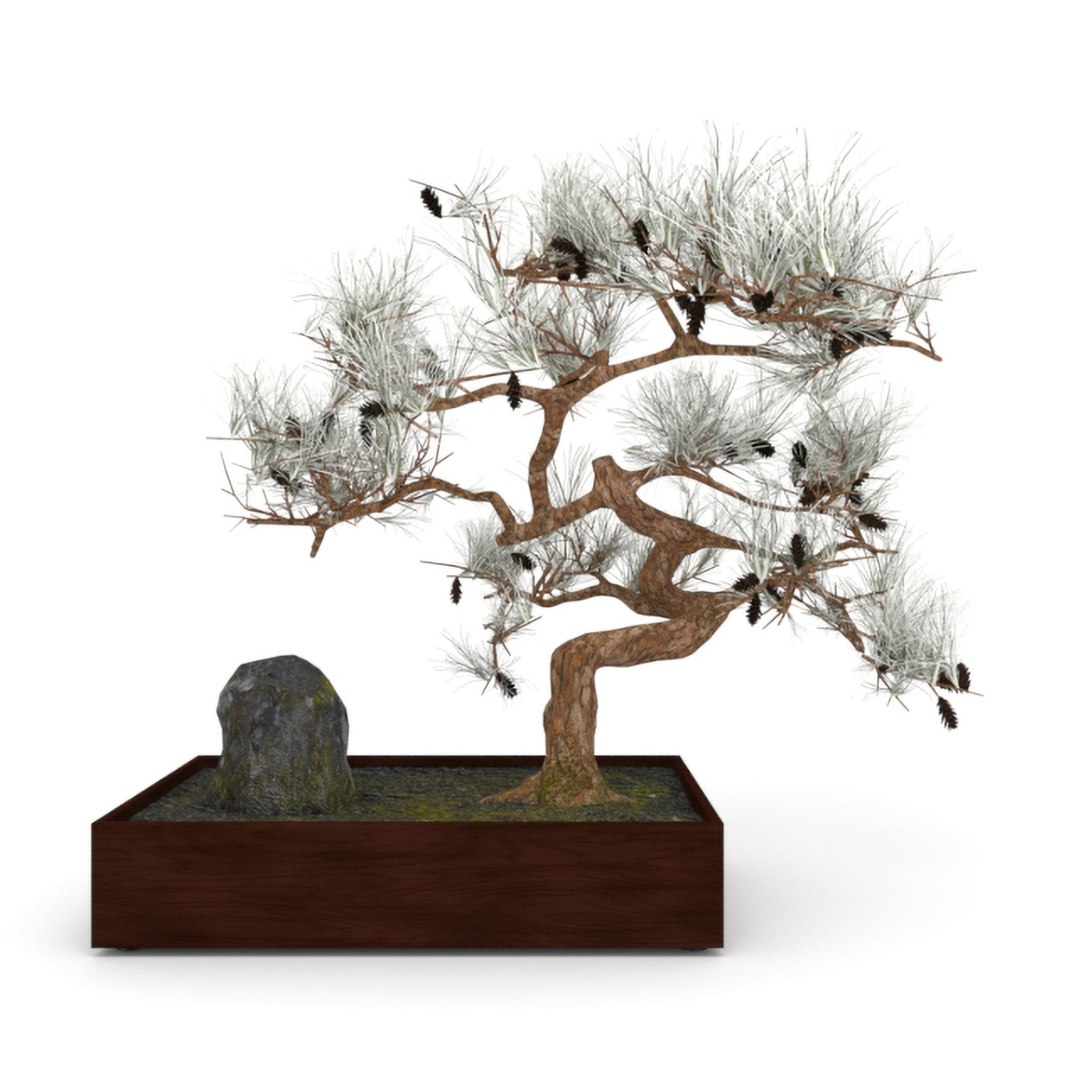Decorative Bonsai 3D Model - TurboSquid 1555885