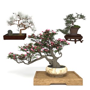 3d model bonsai