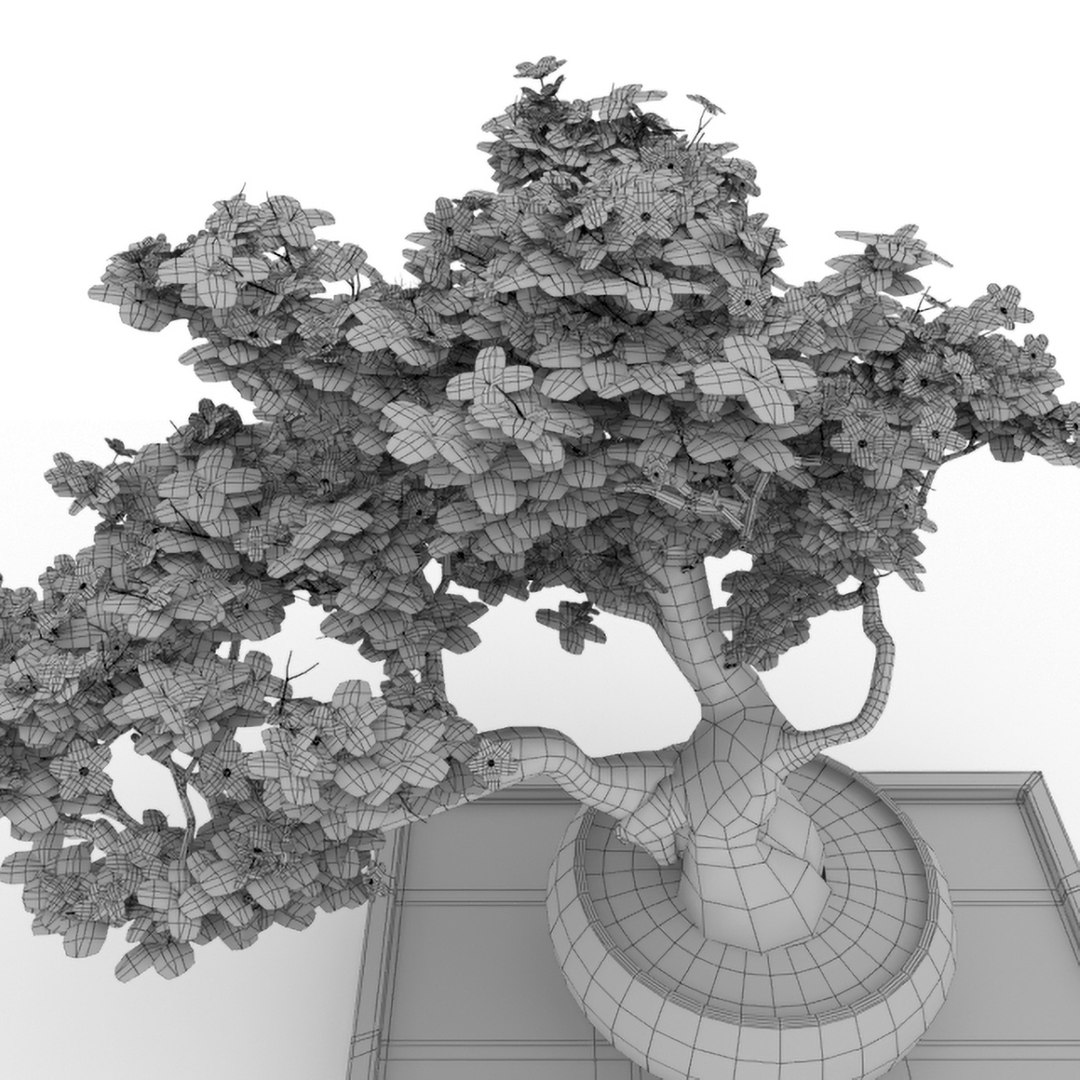 Decorative Bonsai 3D Model - TurboSquid 1555885