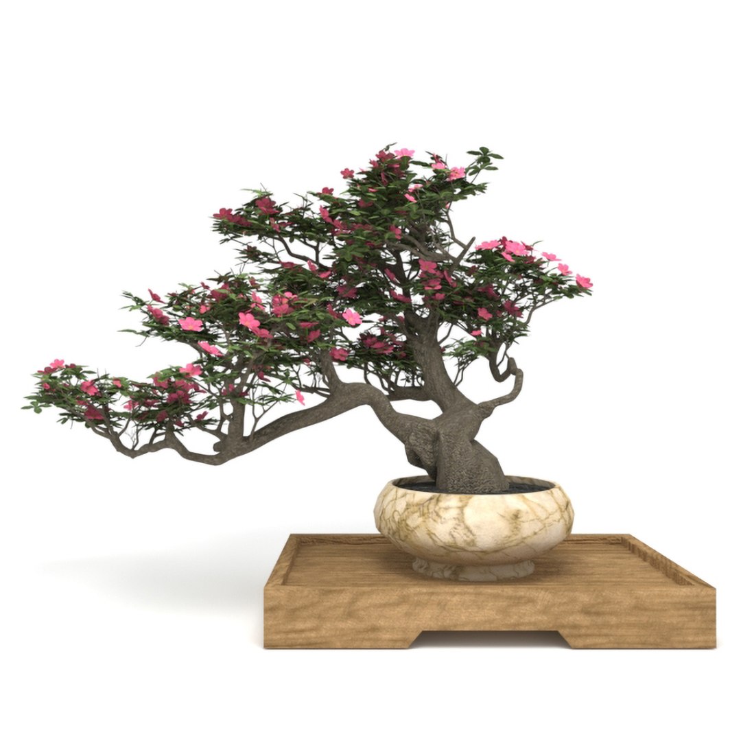 Decorative Bonsai 3D Model - TurboSquid 1555885