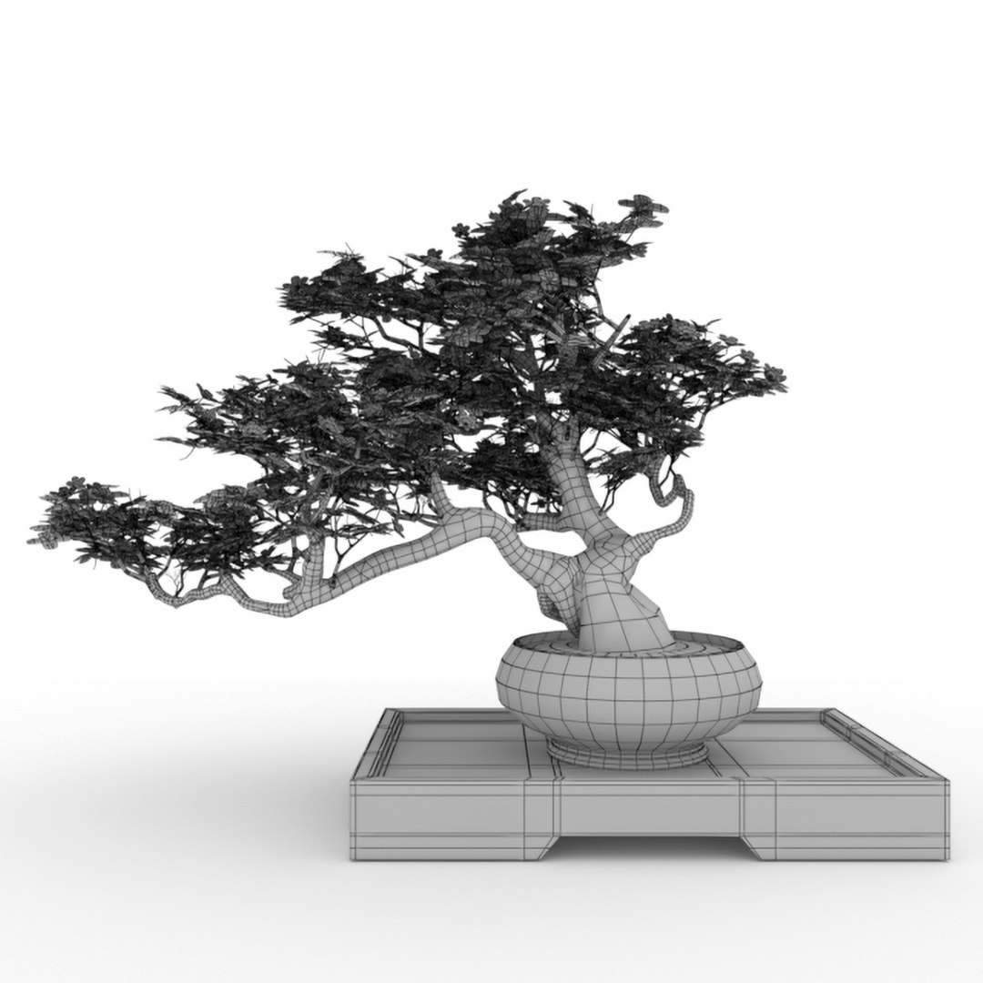 Decorative Bonsai 3D Model - TurboSquid 1555885