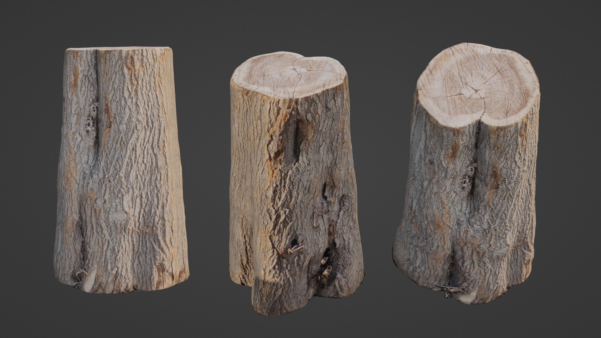 Log 3D Model - TurboSquid 2332117