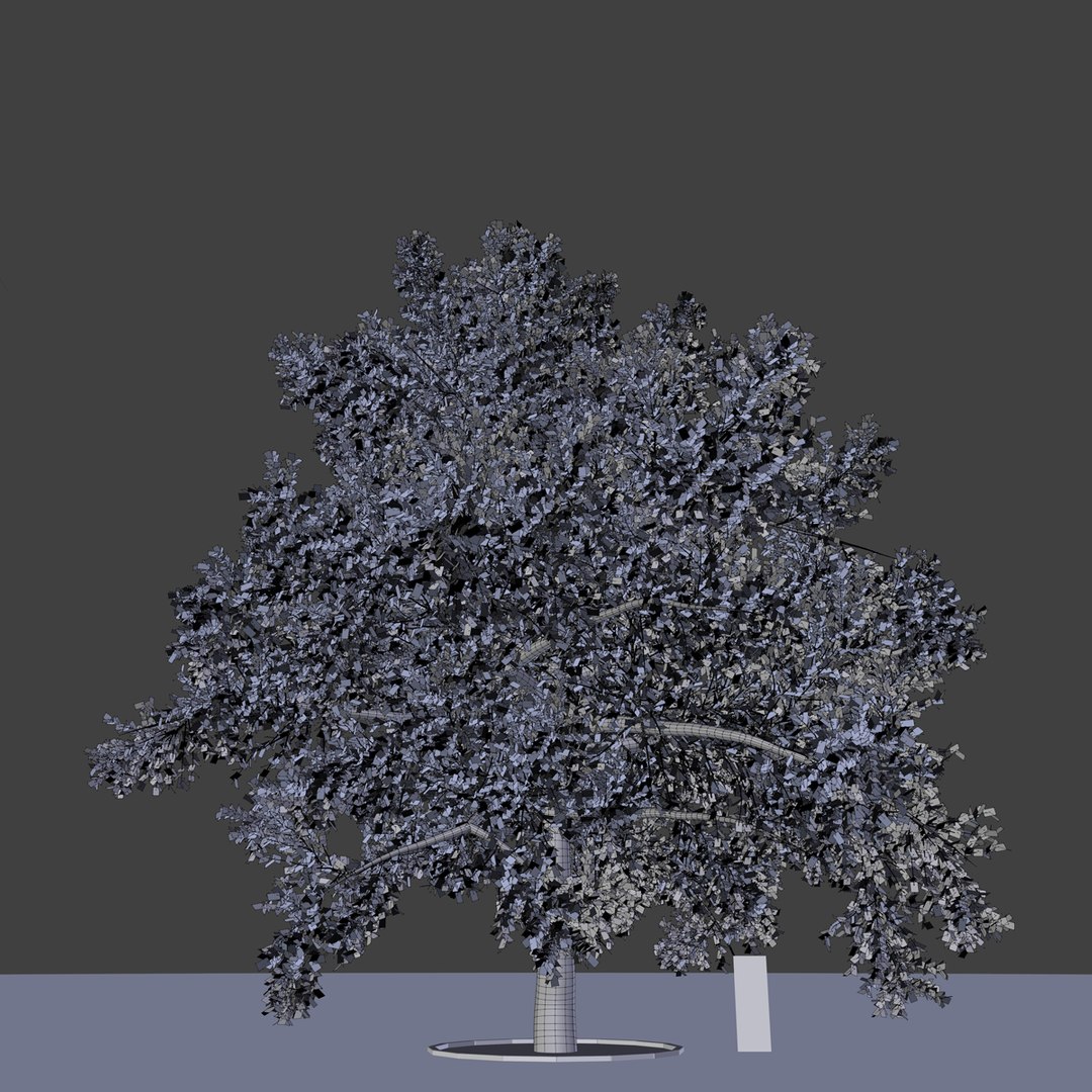 Free Max Model Tree Oak V4