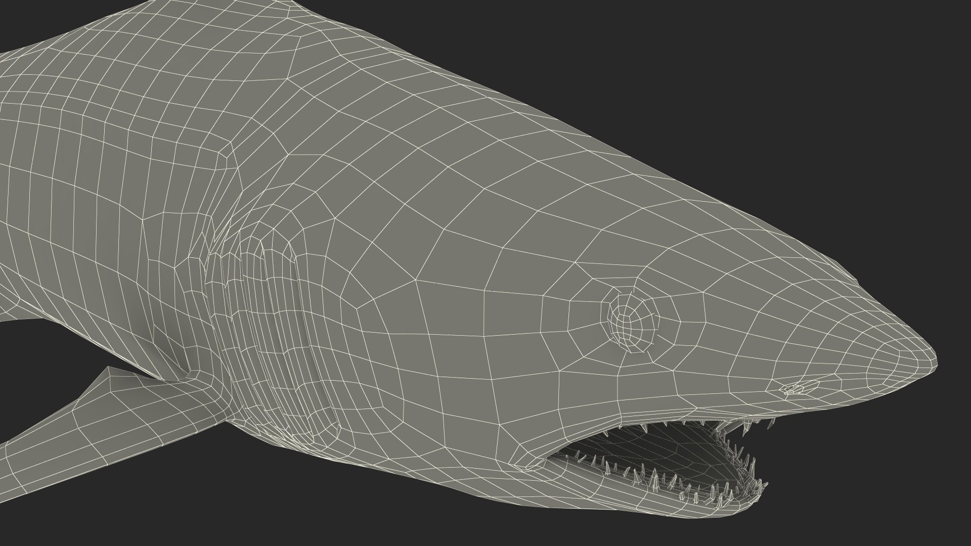 Realistic Shortfin Mako Shark 3D Model - TurboSquid 2284522