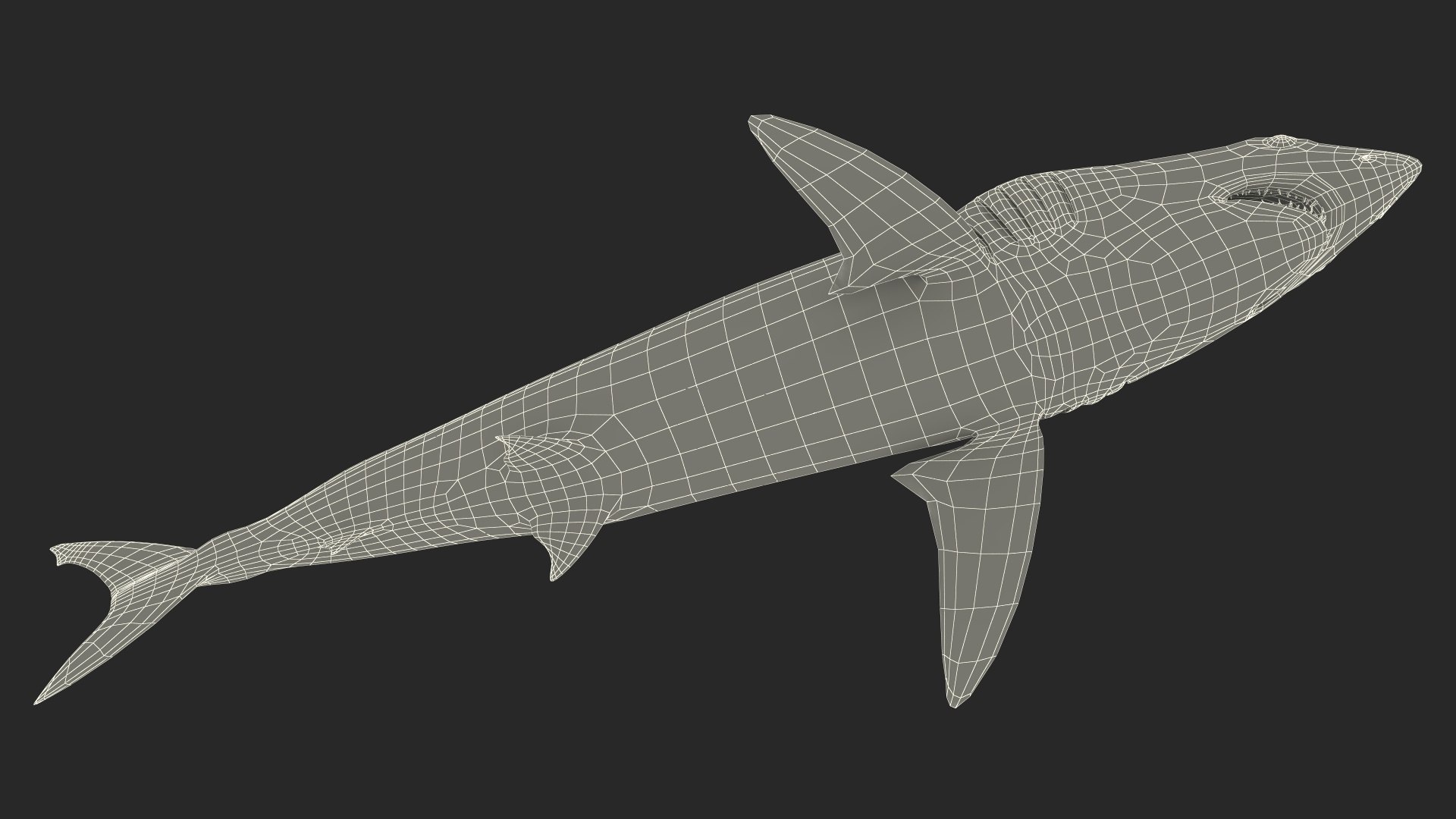Realistic Shortfin Mako Shark 3D Model - TurboSquid 2284522
