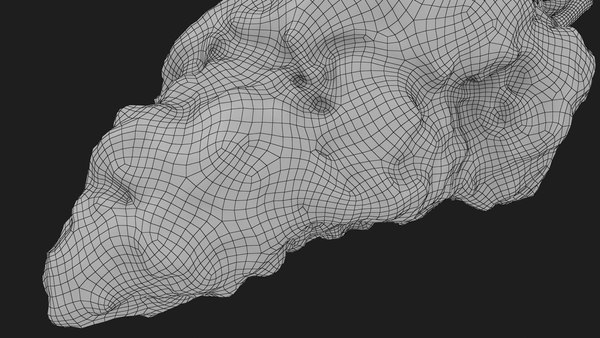 modelo 3d Piel de cogollo de marihuana - TurboSquid 2067358