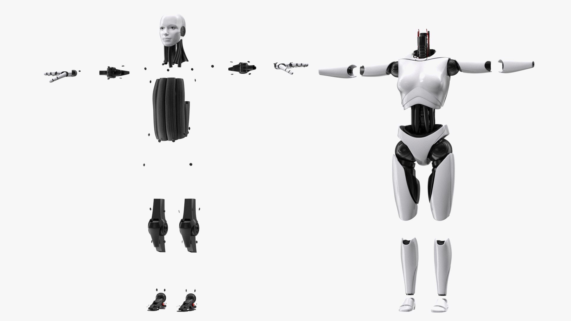 Cyborg Female T-Pose 3D model - TurboSquid 2096371