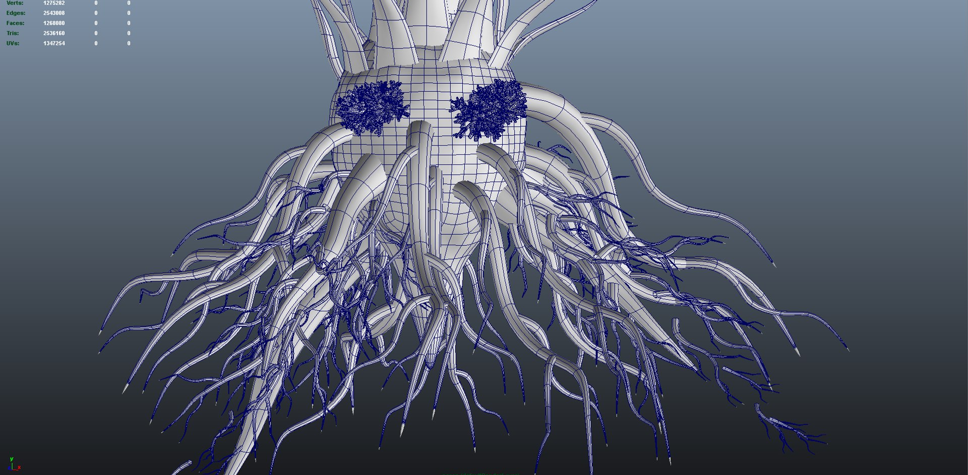 3d model vascular root