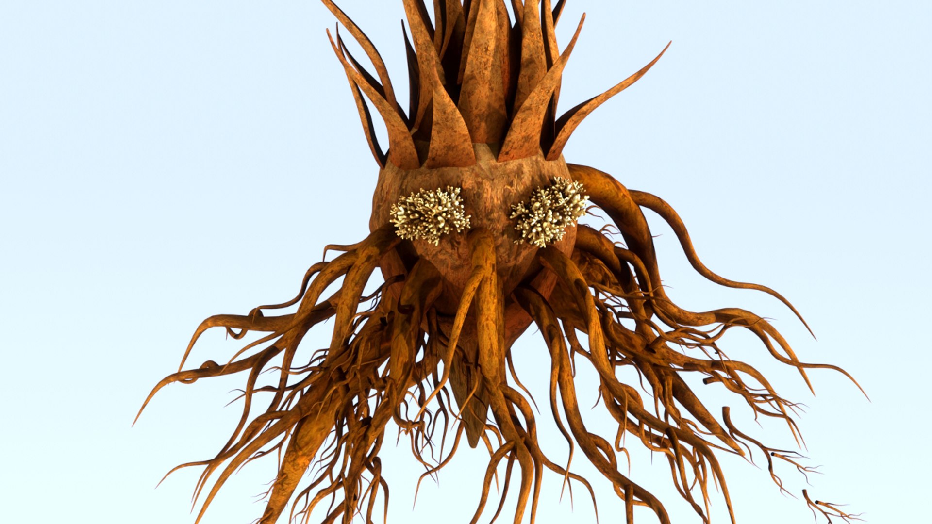 3d model vascular root