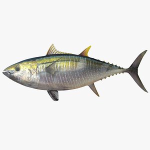 3D model mako shark - TurboSquid 1174565