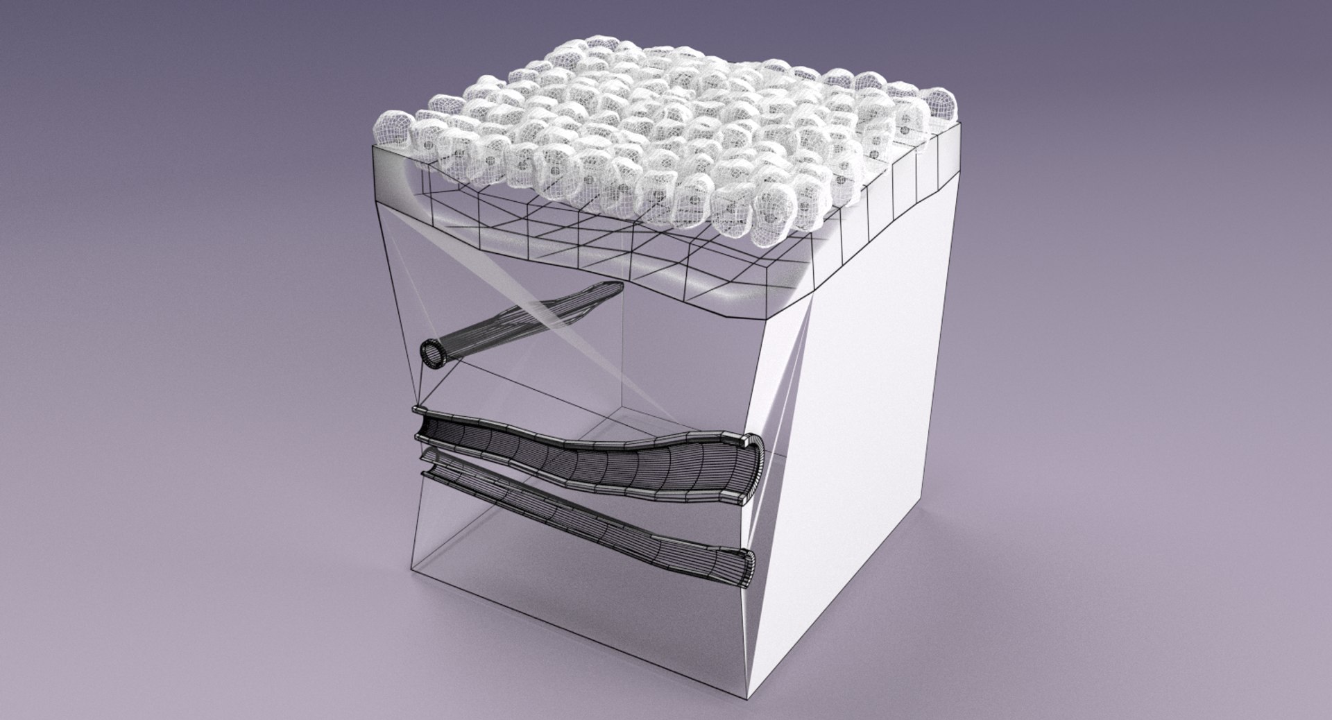 Epithelial Cell Changes 3D - TurboSquid 1323292