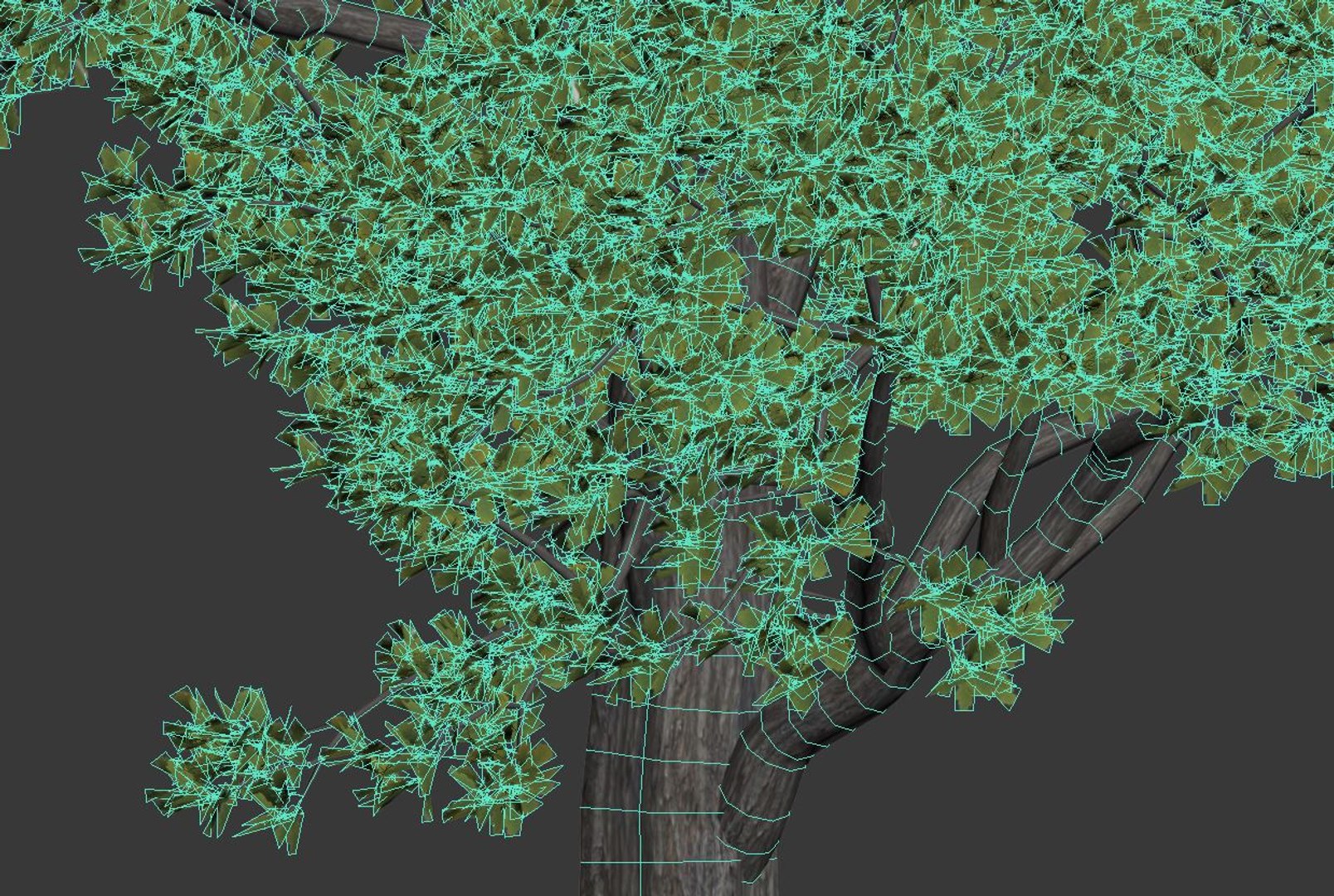 Oak trees 3D - TurboSquid 1657594