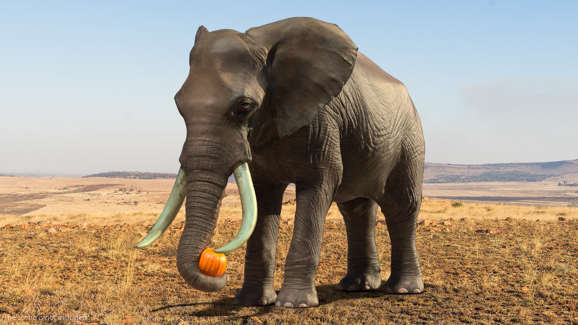 3D Model Elephant Eating Mammal Animal - TurboSquid 1565202
