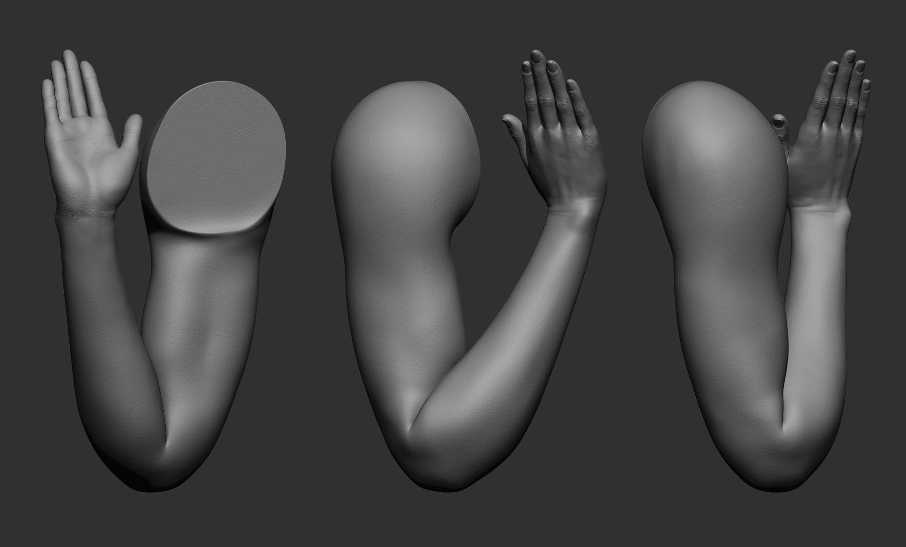 16 Female Arm Poses 3D Model - TurboSquid 1925496