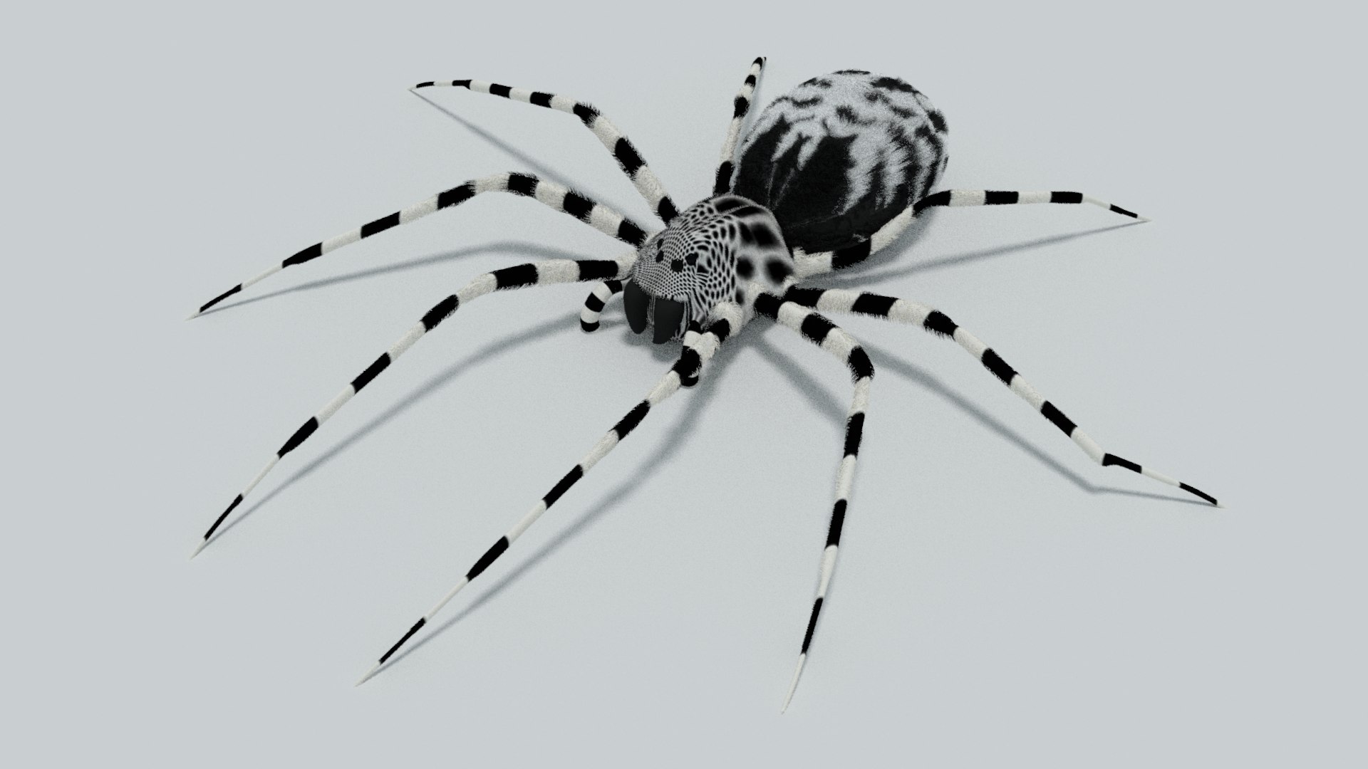 3d Model Spider Rigged Legs