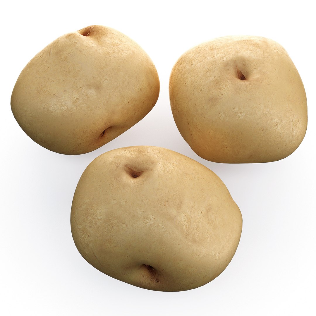 3dsmax potato use