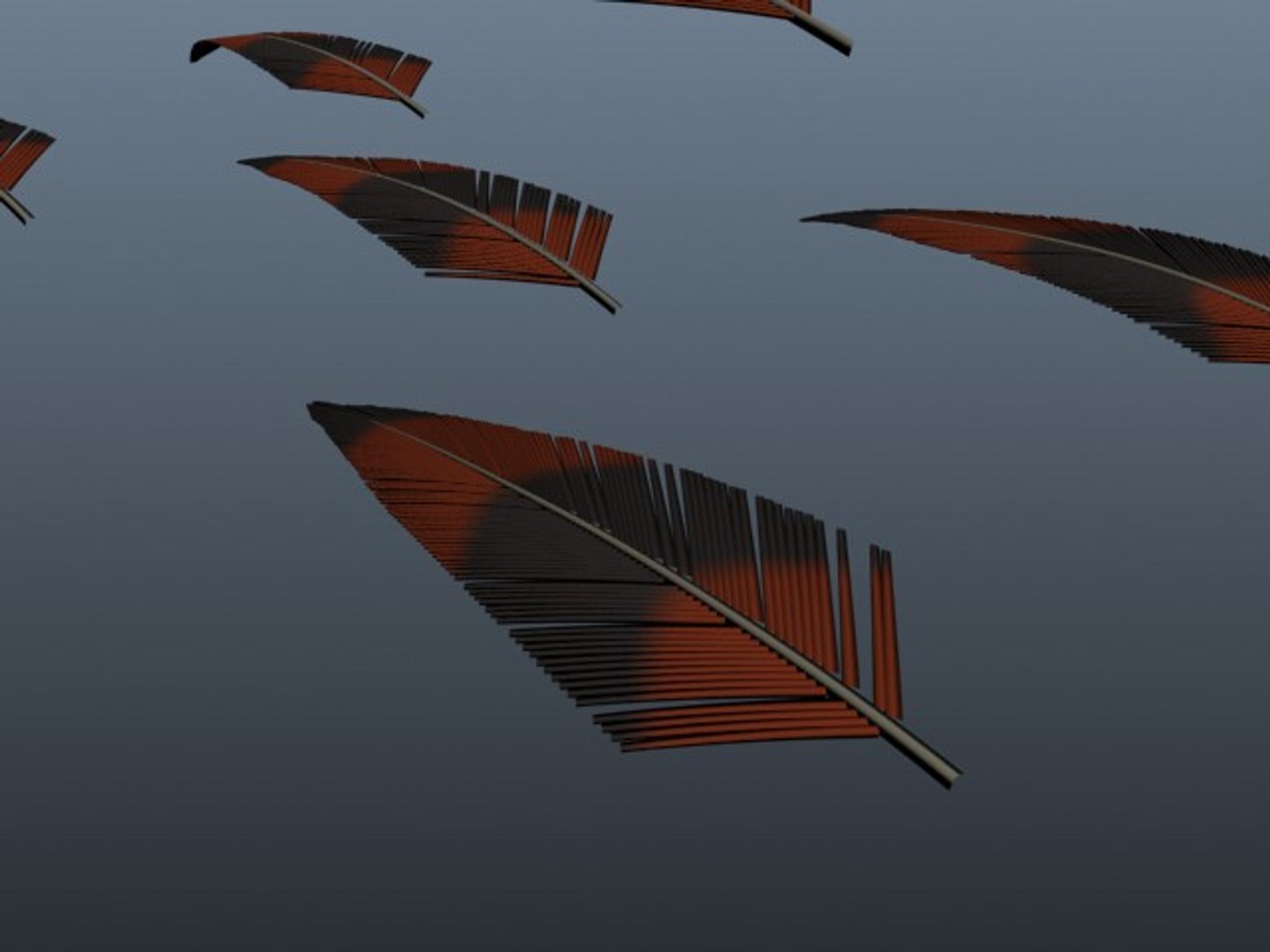 Max Exotic Feathers