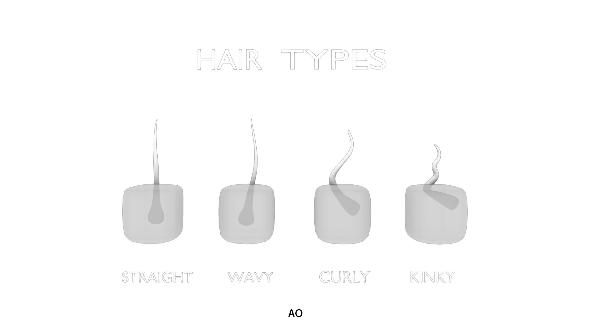 Hair Types 3D Model - TurboSquid 2505381