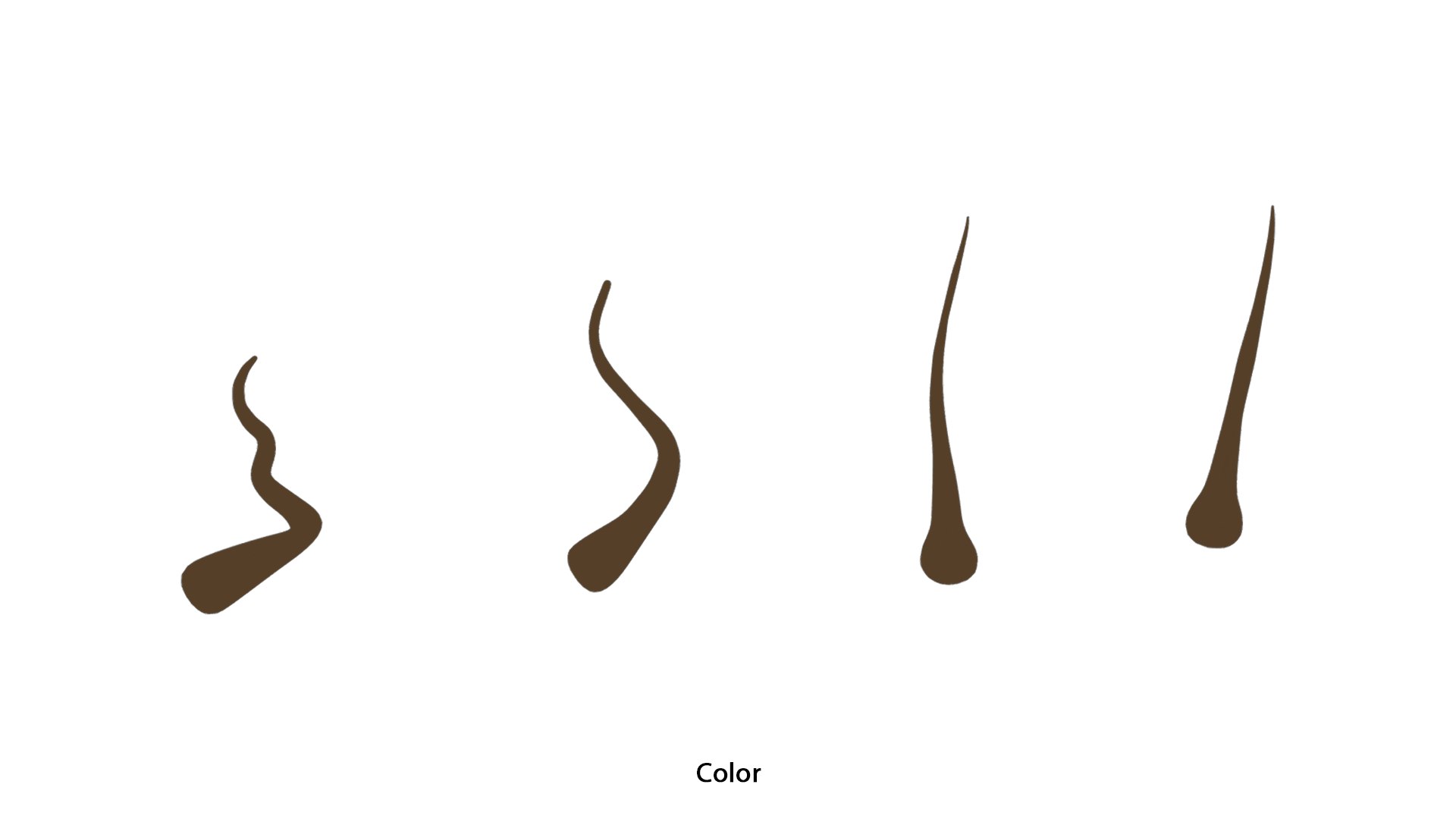 Hair Types 3D Model - TurboSquid 2505381