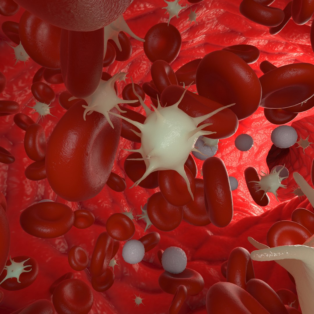Blood Flow 3D - TurboSquid 1405868