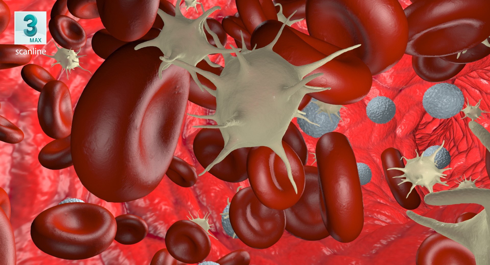 Blood Flow 3D - TurboSquid 1405868