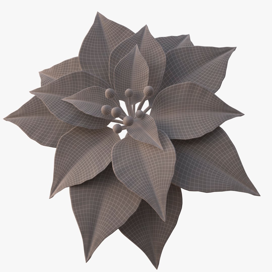 3d Model Of Christmas Flower