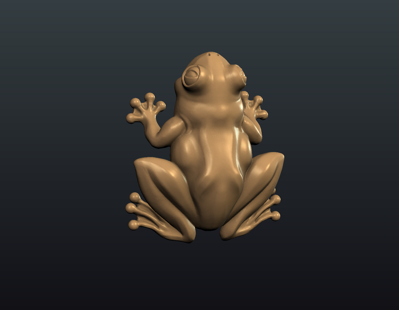 3D Frog Model - TurboSquid 1417605