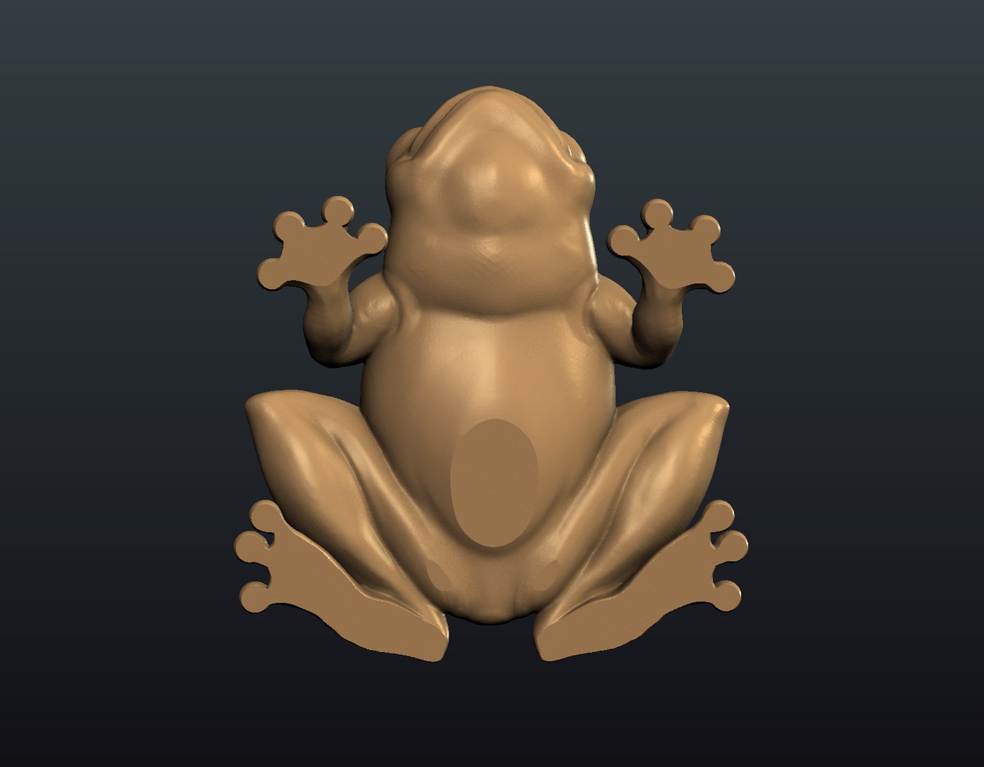 3D Frog Model - TurboSquid 1417605