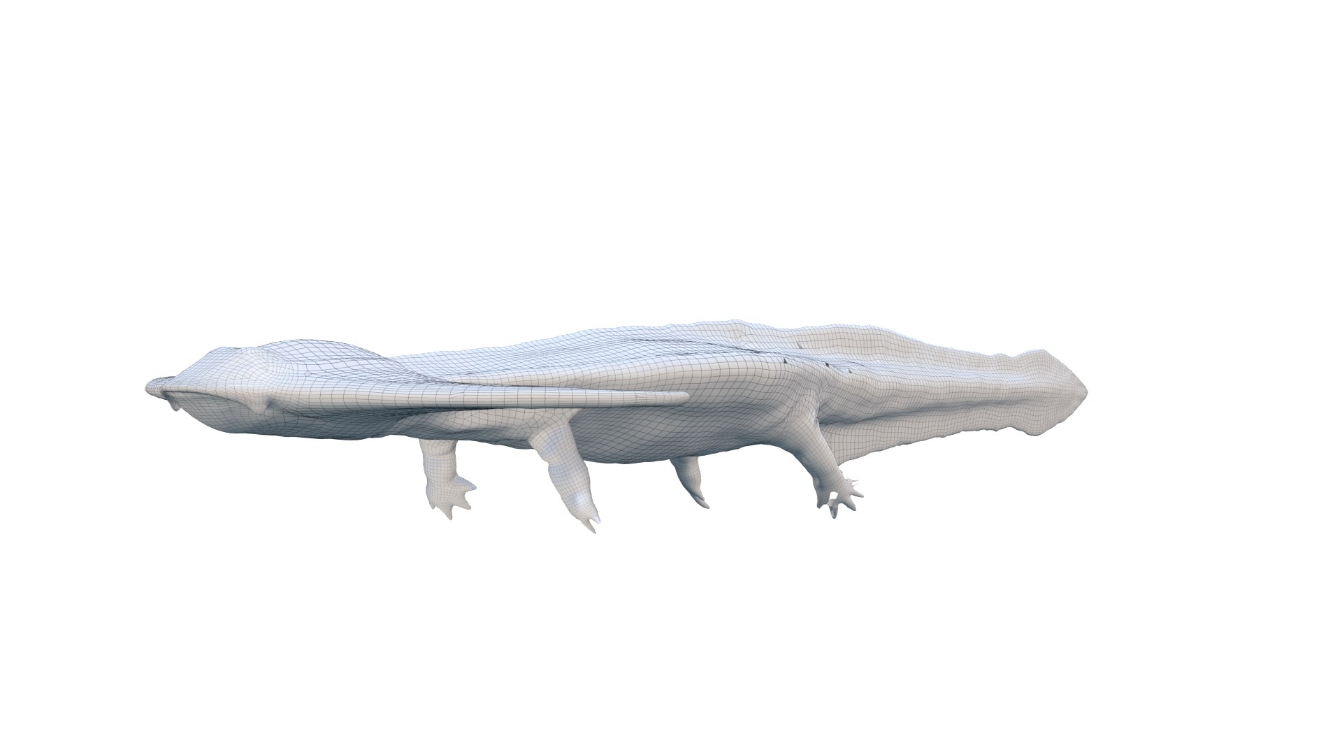 3D Platypus Animal 3D Model - TurboSquid 2311726