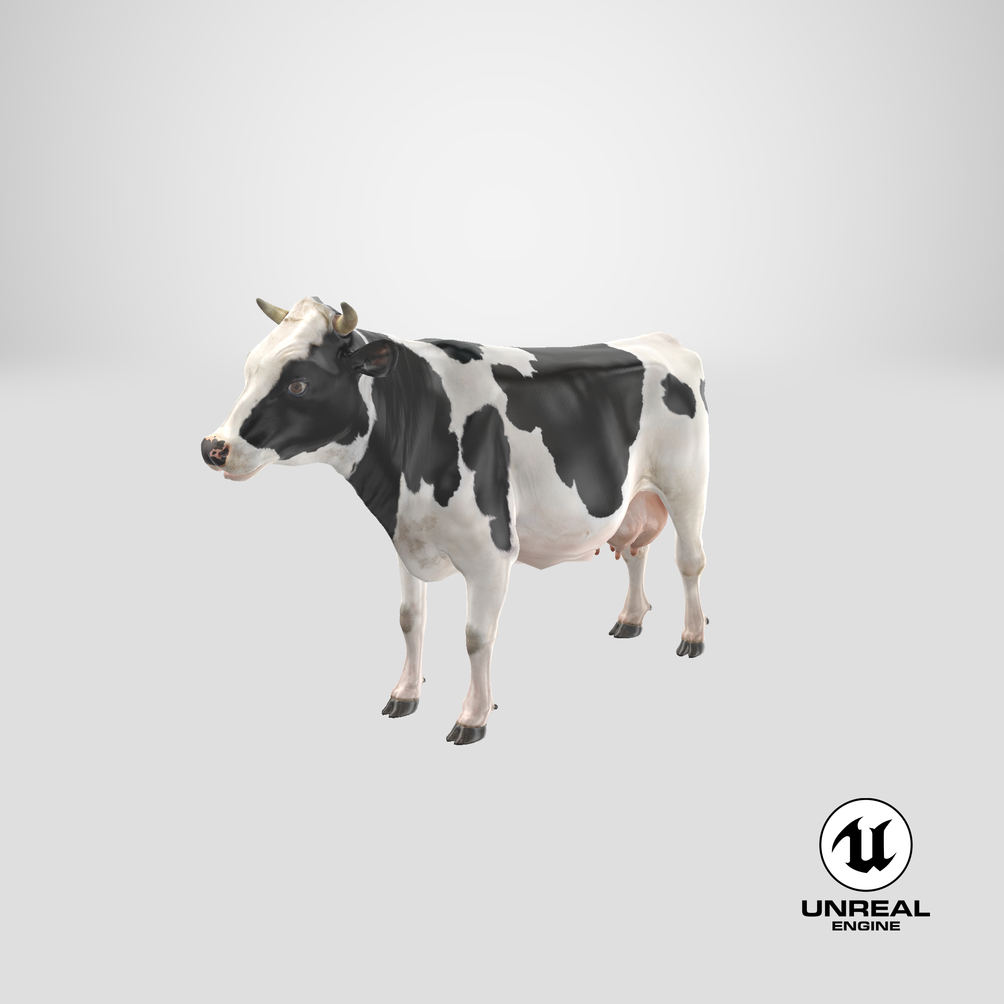 3D dairy cow model - TurboSquid 1247266