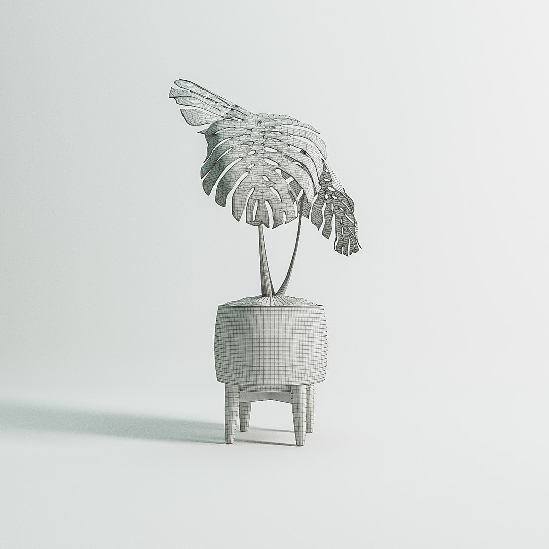 Monstera Plant 3D Model - TurboSquid 1420602