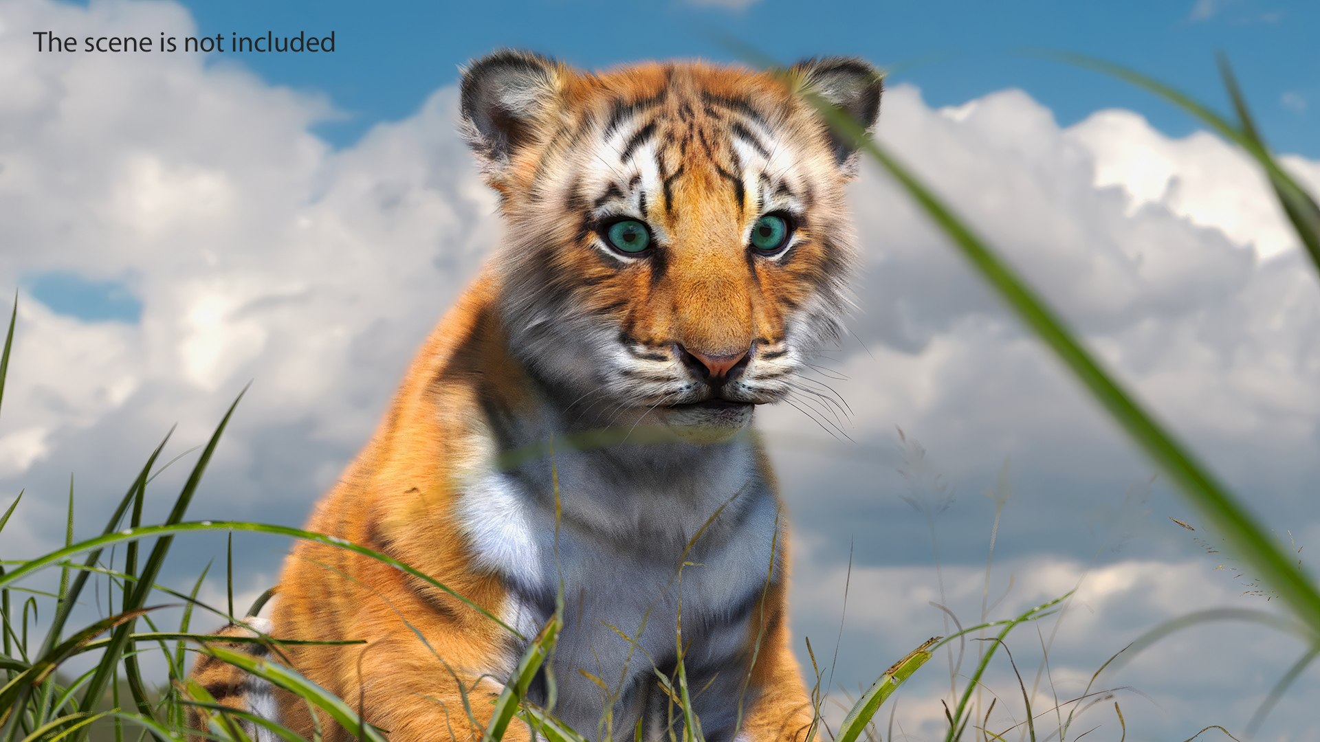 3D Tiger Cub Fur Rigged Model - TurboSquid 2342426