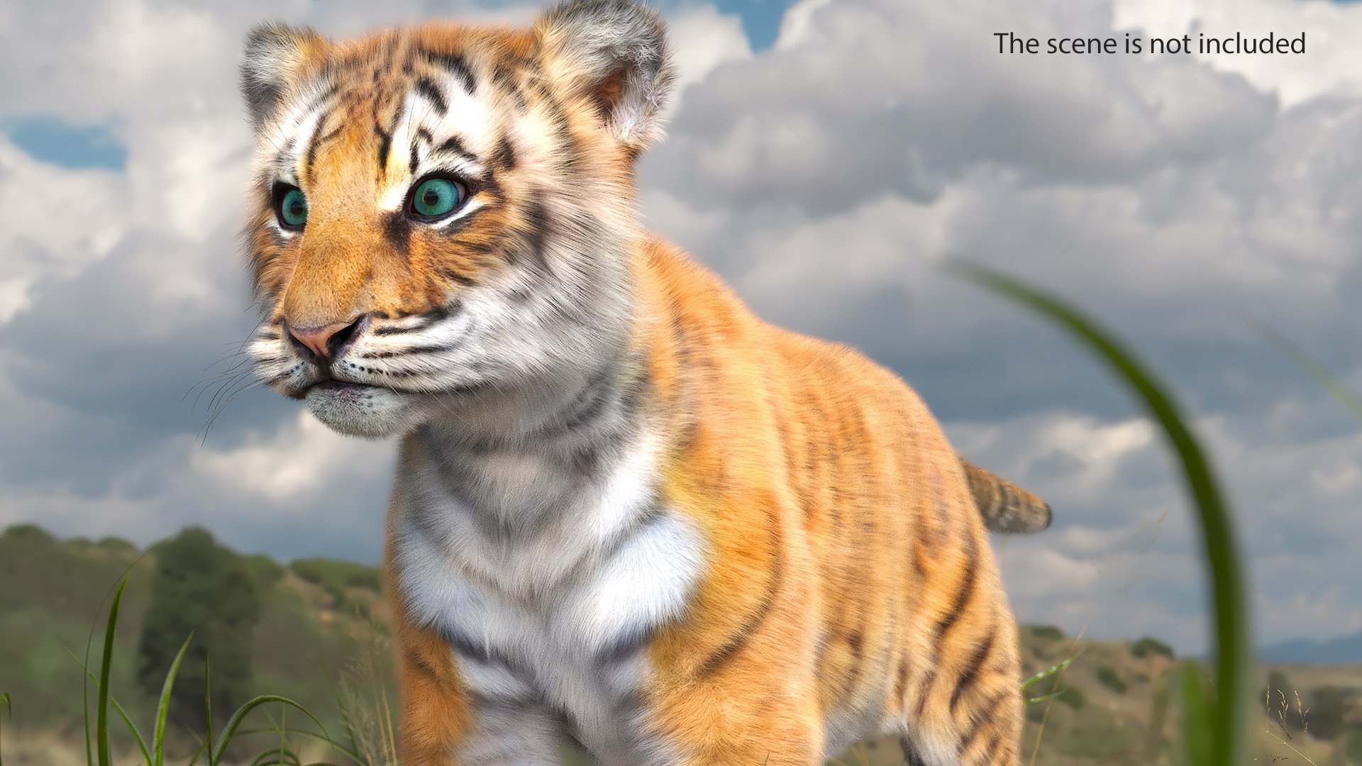 3D Tiger Cub Fur Rigged Model - TurboSquid 2342426